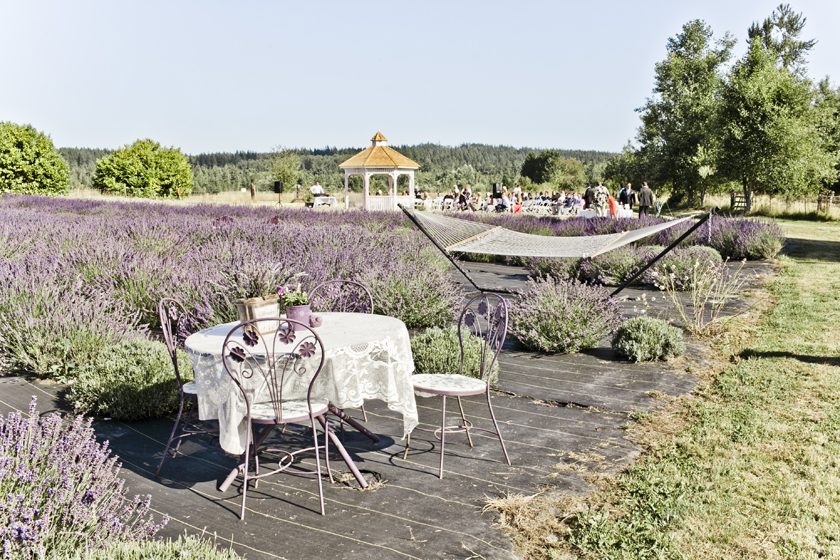 Timeless: Seattle Lavender Farm Wedding Photography » ENMUSE Photography